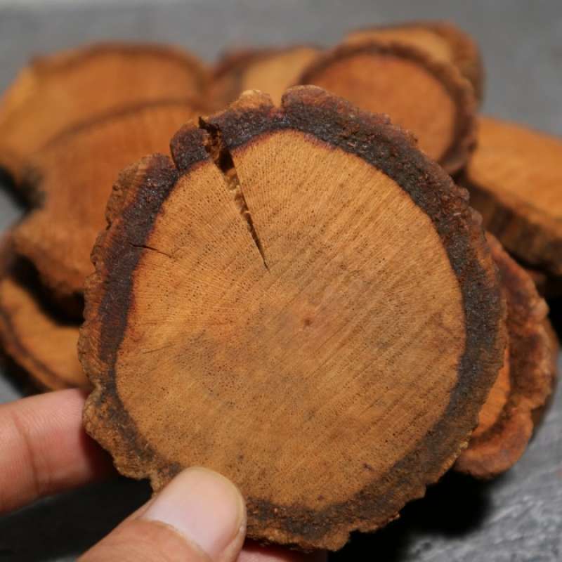 Promo AKAR KAYU BAJAKAH TAMPALA SUPER 1KG 100% ASLI KALIMANTAN Diskon ...