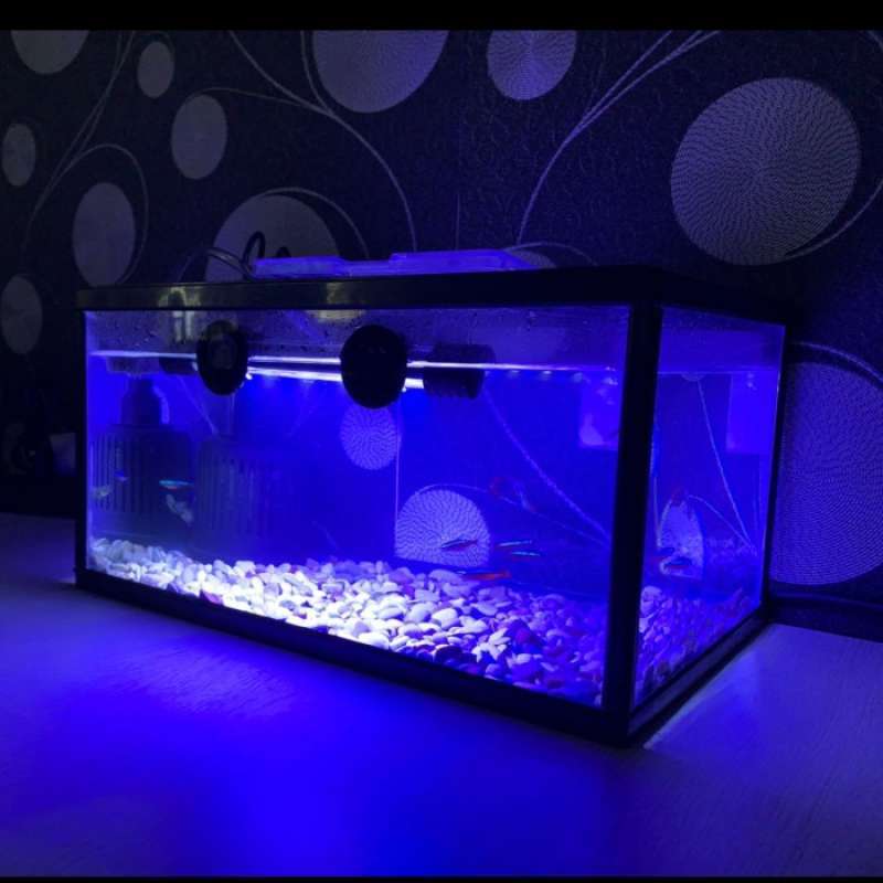 Jual Paket Meja Aquarium Termurah - Harga Grosir Terupdate Hari Ini ...