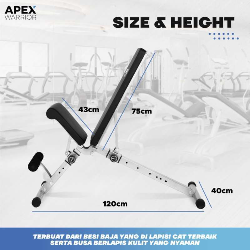 Apex Workout Bench | EOUA Blog