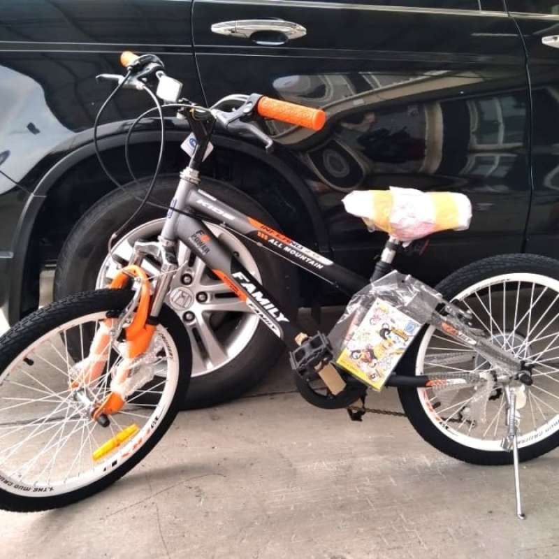 Jual Mtb 20 Family Inferno Sepeda Anak Mtb 20 Inch Inferno Family Baru ...
