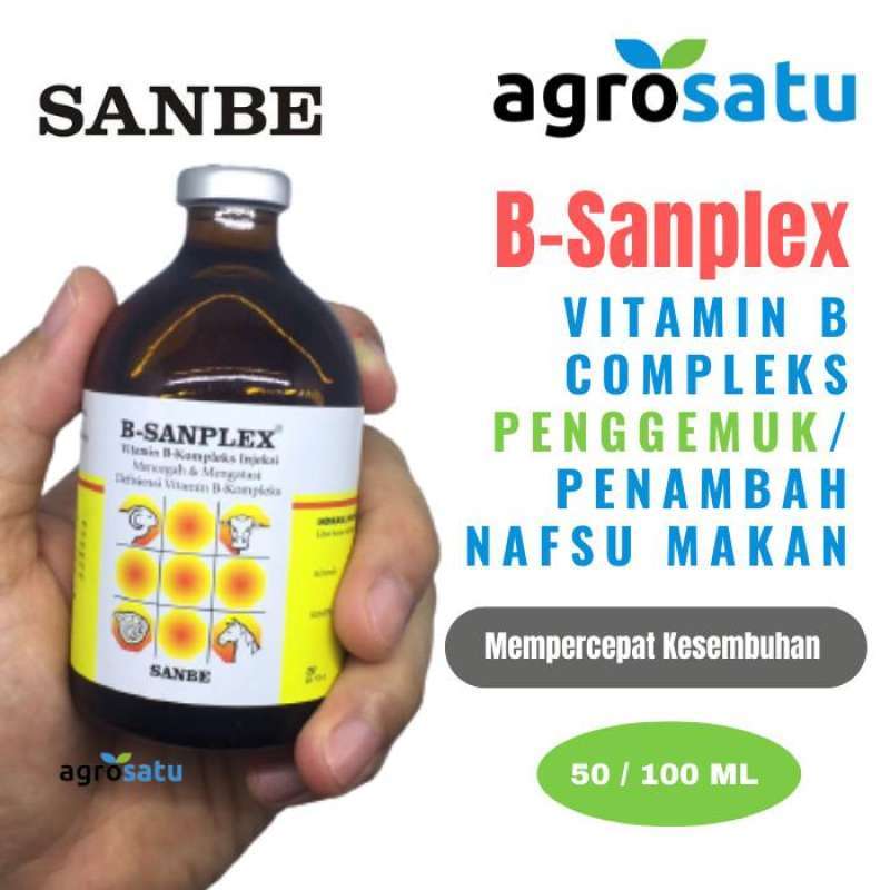 Jual Vitamin B Kompleks Injeksi 100 Ml Original Murah - Harga Diskon ...