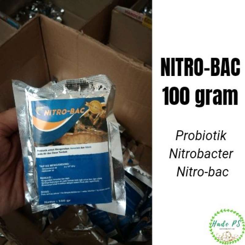 Jual Probiotik Nitrobacter Nitrobac Premium 100 Gram Di Seller ...