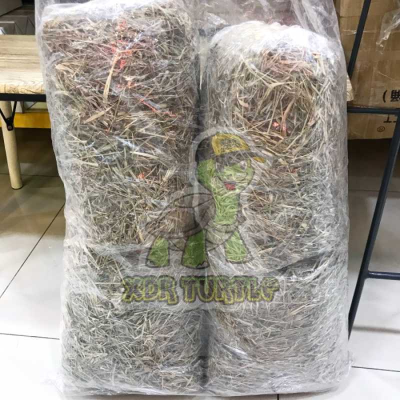 Promo HAY PREMIUM 500GR RUMPUT MAKANAN TORTOISE KURA DARAT SULCATA ...