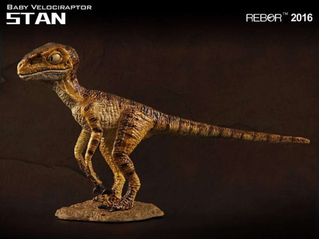 Promo Rebor Stan Baby Velociraptor Diskon 23% Di Seller Prasywa Shop ...