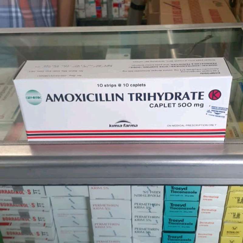 Amoxicillin Box Lengkap Harga Terbaru April 2024 | Blibli