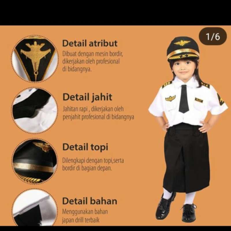 gambar profesi pilot