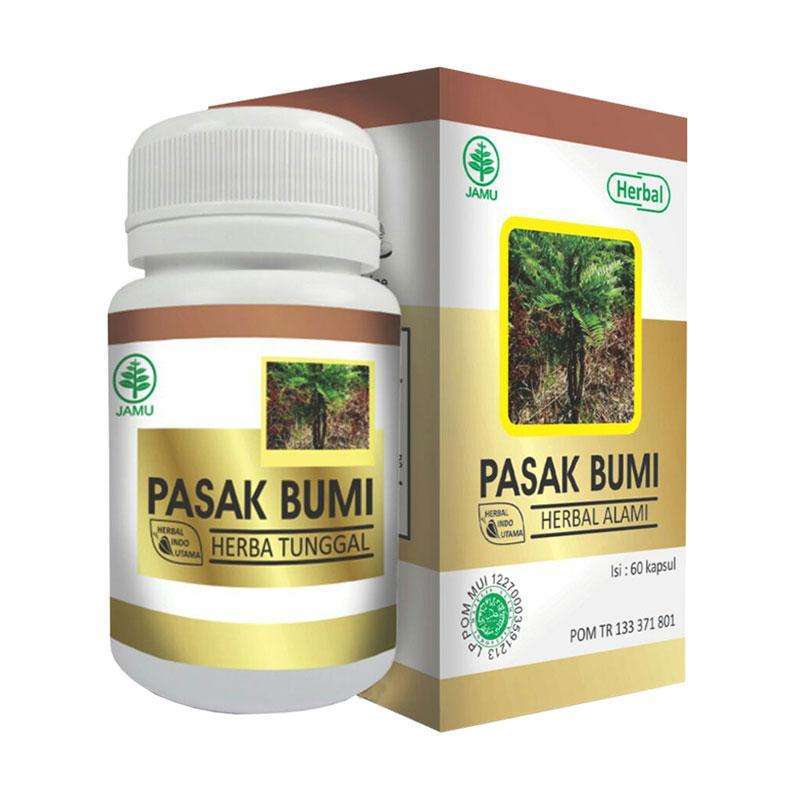 Promo Herbal Indo Utama - Kapsul PASAK BUMI Herbal Tingkatkan Stamina Dan Kesuburan Pria Herbal ...