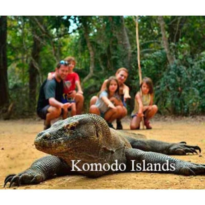 Jual Paket Wisata Travel Tour Liburan Labuan Bajo Indonesia 3D2N Open Trip (Singkolo Boat) di ...