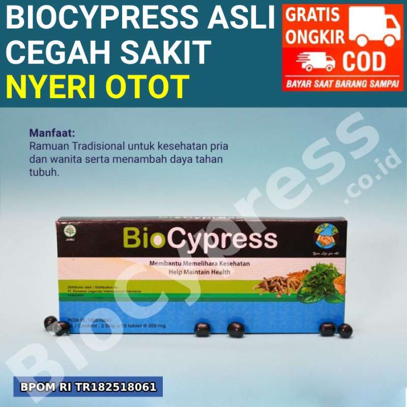 Promo BioCypress Original Obat Herbal Sakit Nyeri Otot isi 20 Butir Bio ...