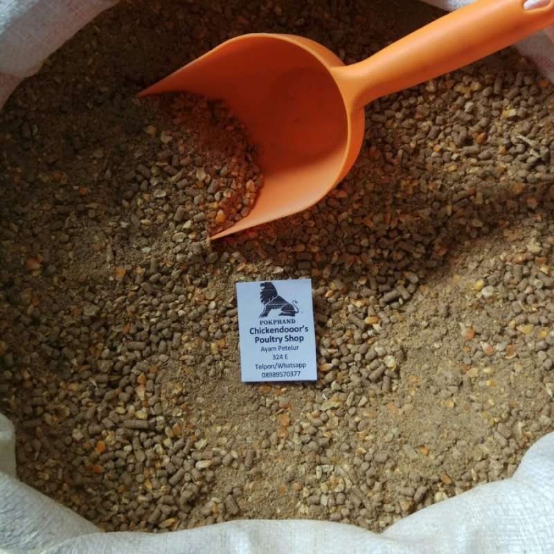 Jual Pakan Ayam Petelur 324 Termurah - Harga Grosir Terupdate Hari Ini ...