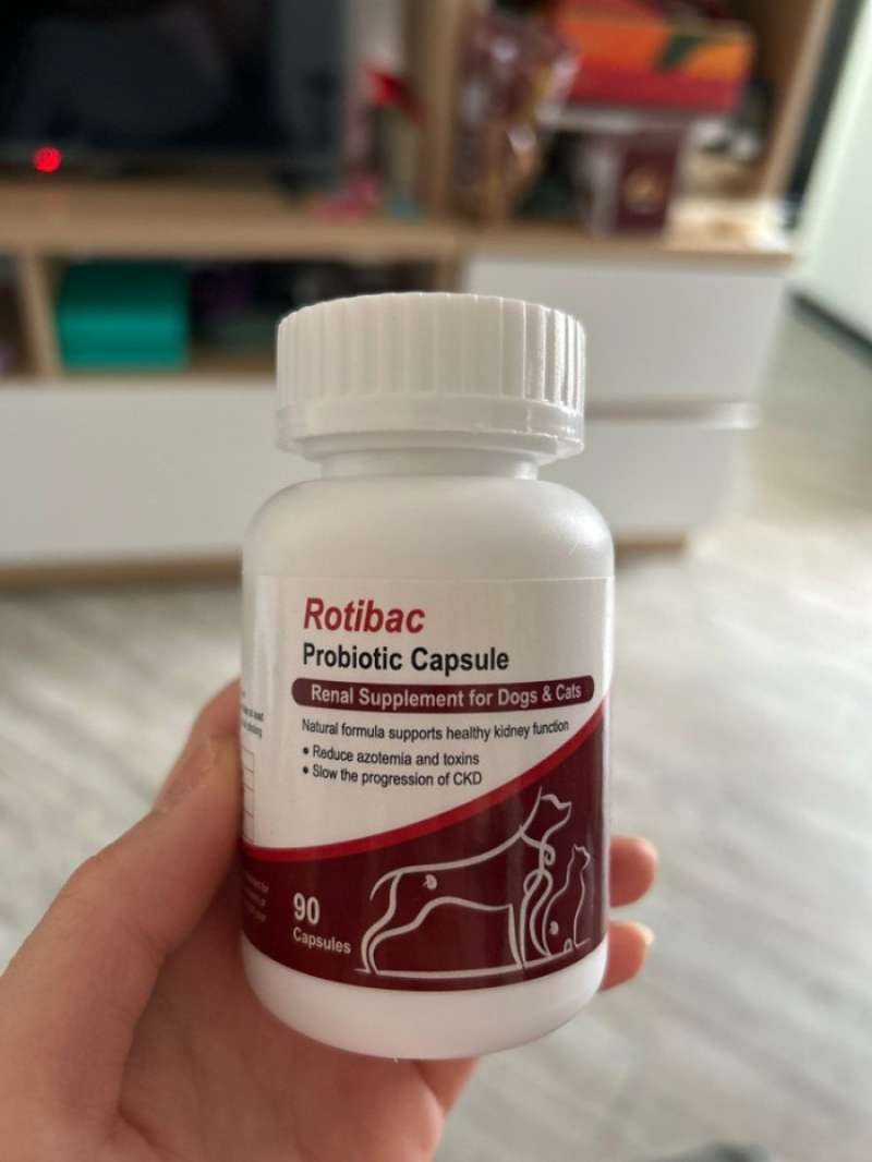 Promo Rotibac - Suplemen Ginjal Ampuh Isinya Sama Azodyl/ Renacor ...