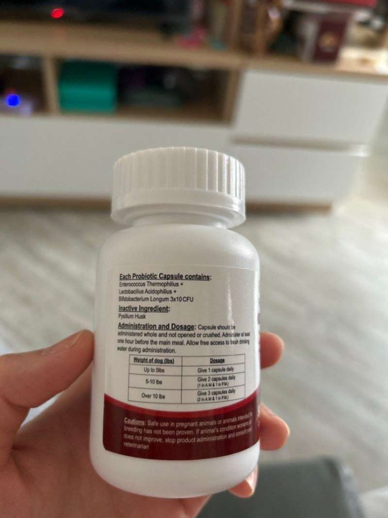 Promo Rotibac - Suplemen Ginjal Ampuh Isinya Sama Azodyl/ Renacor ...