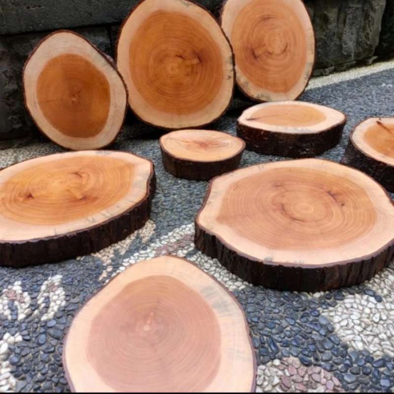 Jual Wooden Log Kayu Mahoni Talenan Kayu Tray Nampan Kayu - L di Seller ...