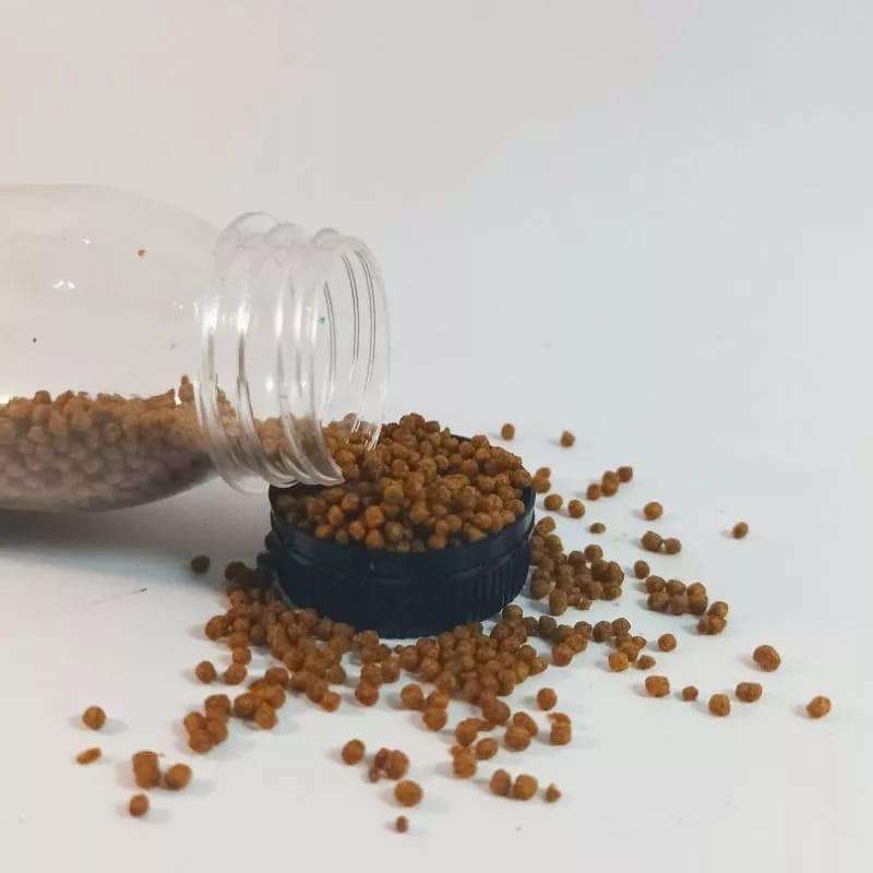 Jual Pelet Ikan Chana Premium Blue Yellow Red Carophyll / Pelet Chana ...