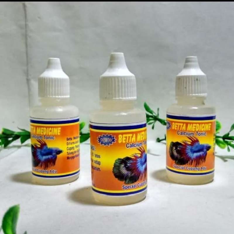 Jual Cupang Betta Fish Giant Terdekat 🏷️ Harga Grosir Murah Terupdate ...