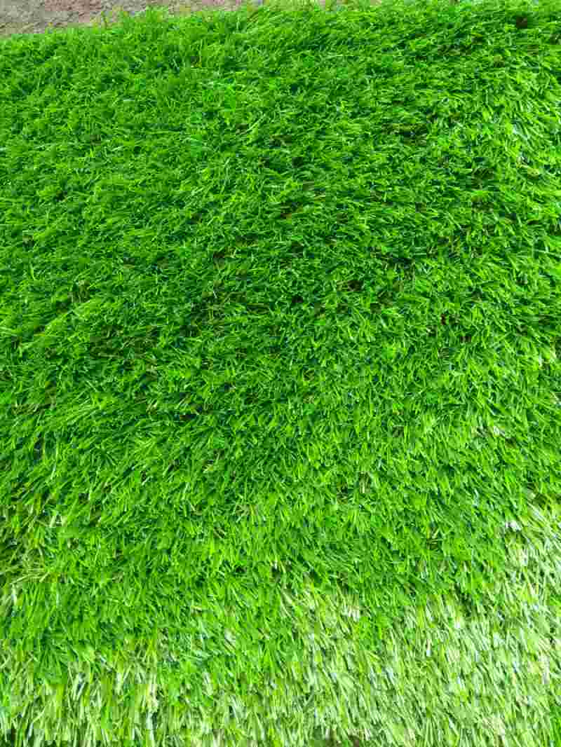 Jual Karpet Rumput Sintetis 30 Mm Tipe Swiss Import Langsung - Budget ...