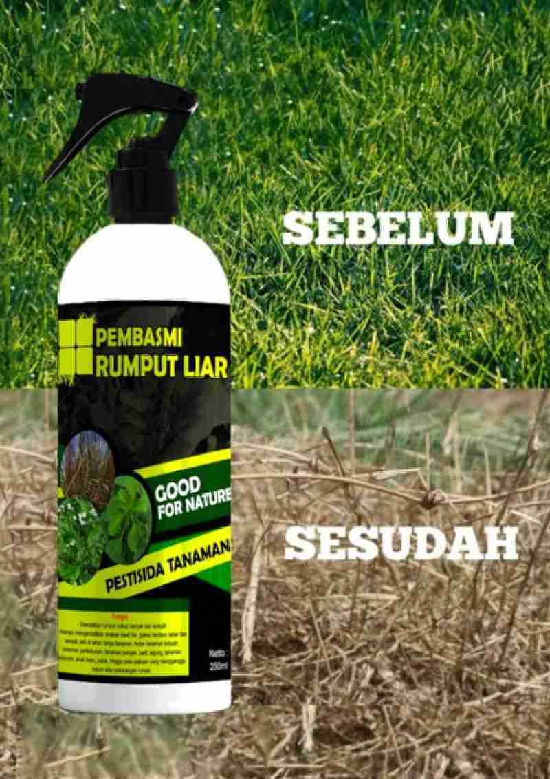 Jual Cairan Semprot Pembasmi Rumput / Tanaman Liar / Gulma Hingga Ke ...