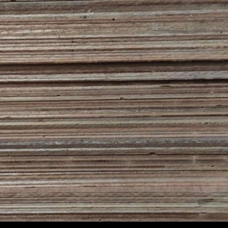 Jual Triplek Papan Multiplex Tebal 18mm 18 Mm 120 X 240 Cm Asr Meranti ...