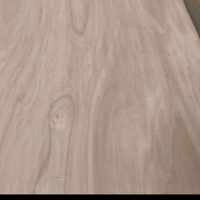 Jual Triplek Papan Multiplex Tebal 18mm 18 Mm 120 X 240 Cm Asr Meranti ...