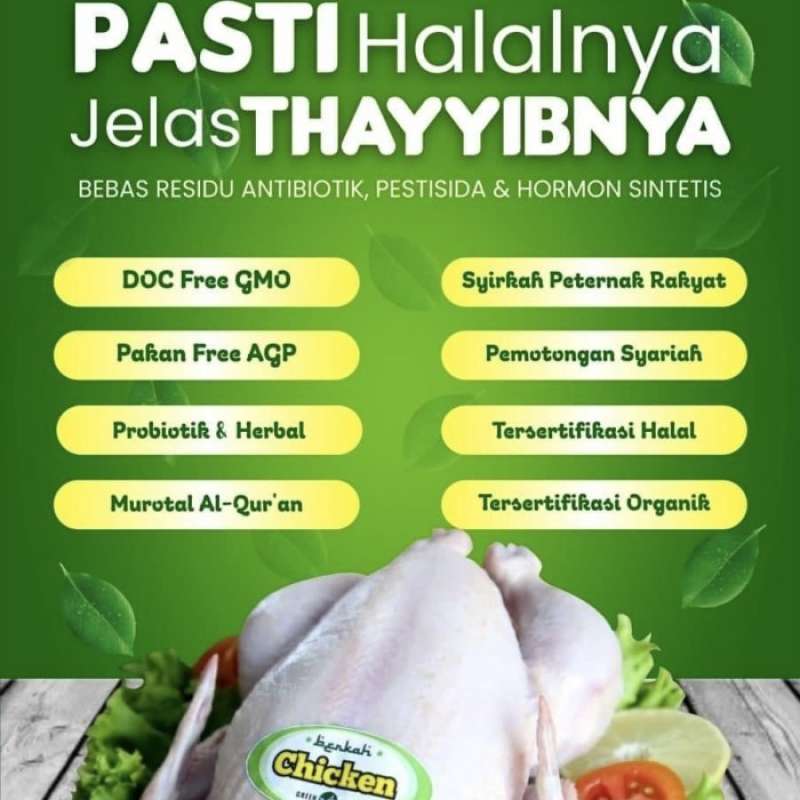 Jual Ayam Fillet Dada Organik / Boneless Dada Sehat - Berkah Chicken ...