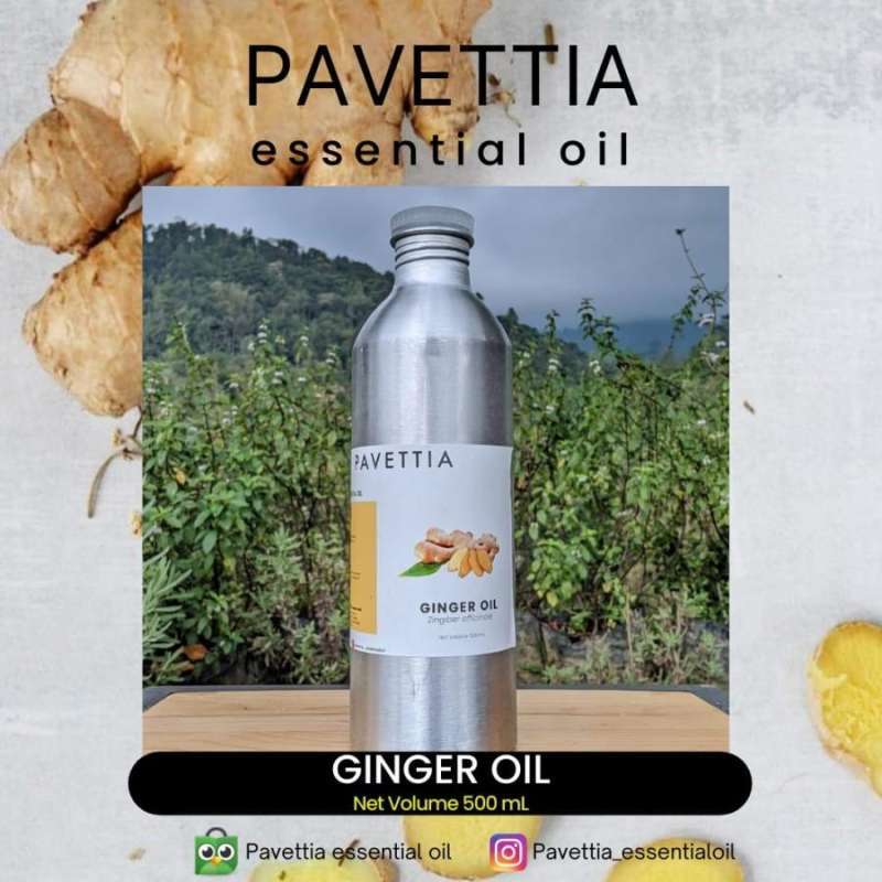Jual 500 Ml - Minyak Atsiri Jahe / Ginger Oil Di Seller Pavettia ...