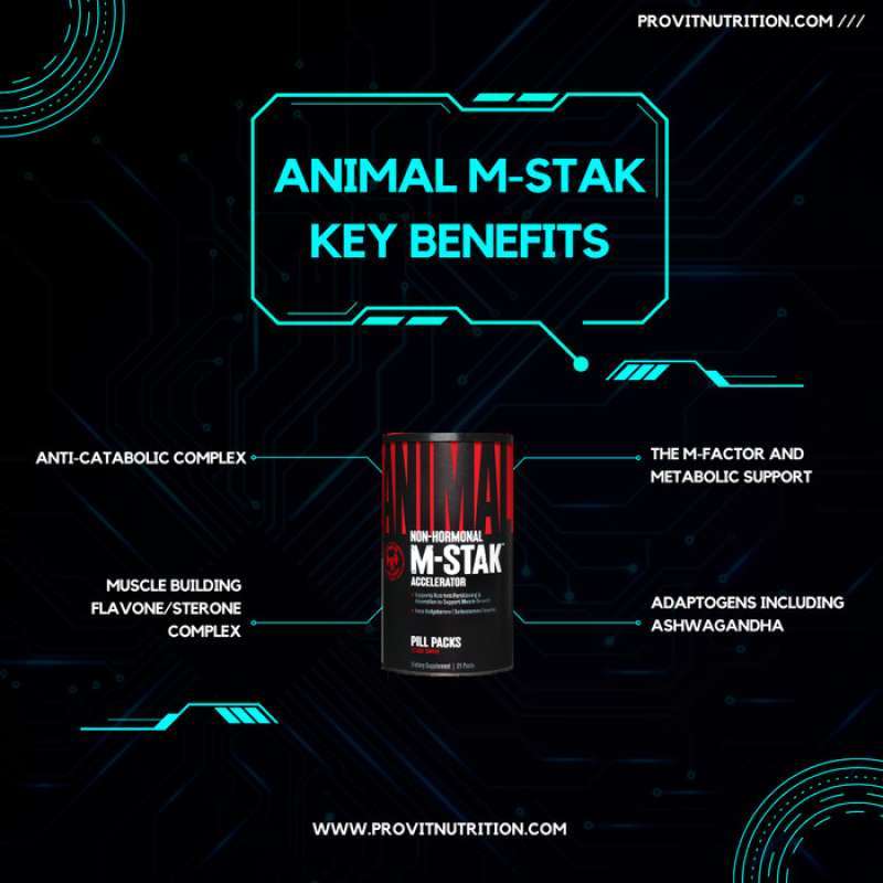 Promo Universal - Animal M Stak 21 Packs Bulking Weight Gainer Anabolic Mass Sale Diskon 11% Di ...