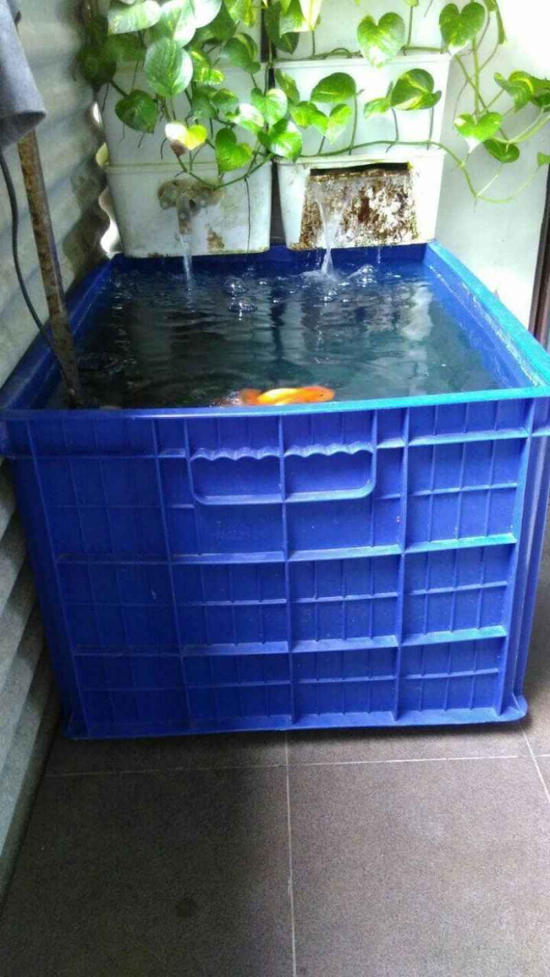 Promo Khusus Hanata 3101 Box Container Industri 200 Liter / Bak Kolam ...