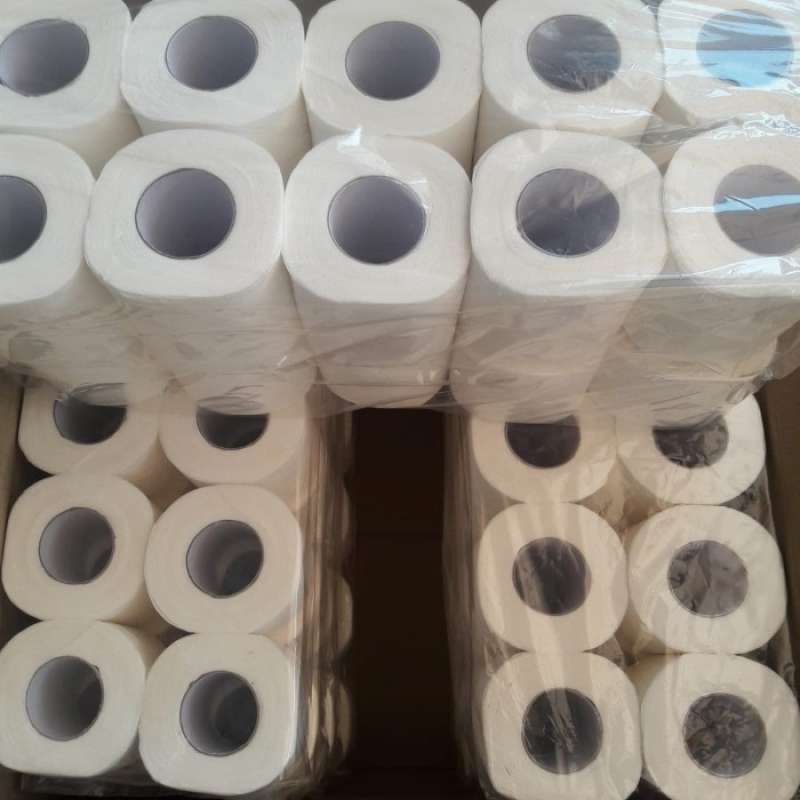 Promo Tissue Gulung / Toilet Roll Emed Non Brand Pup 1 Dus Isi 100 ...