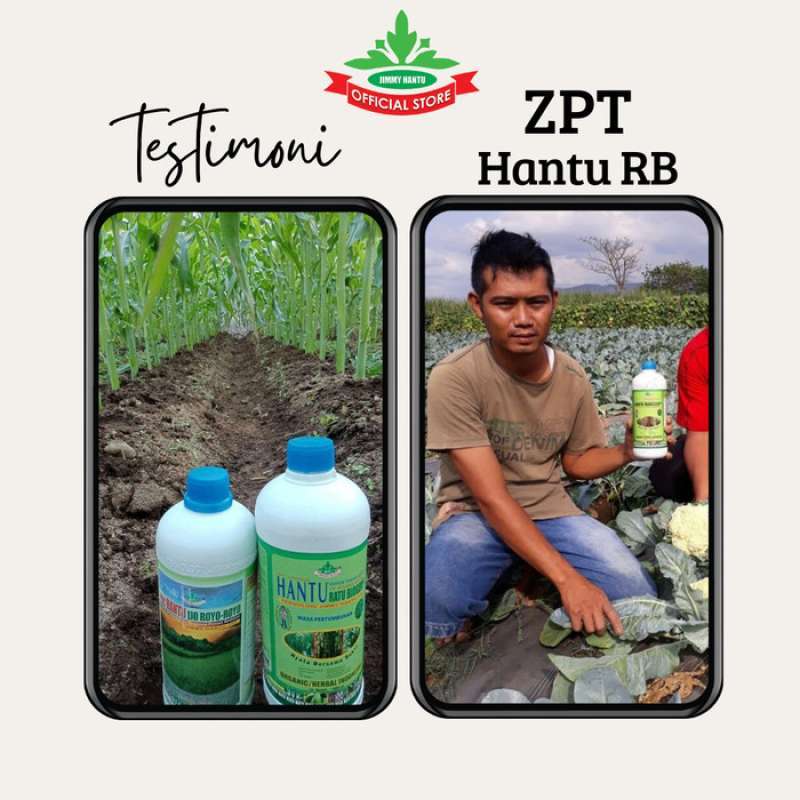 Jual Promo - Pupuk Zpt Hantu Ratu Biogen1000ml - Masa Pertumbuhan Dan ...