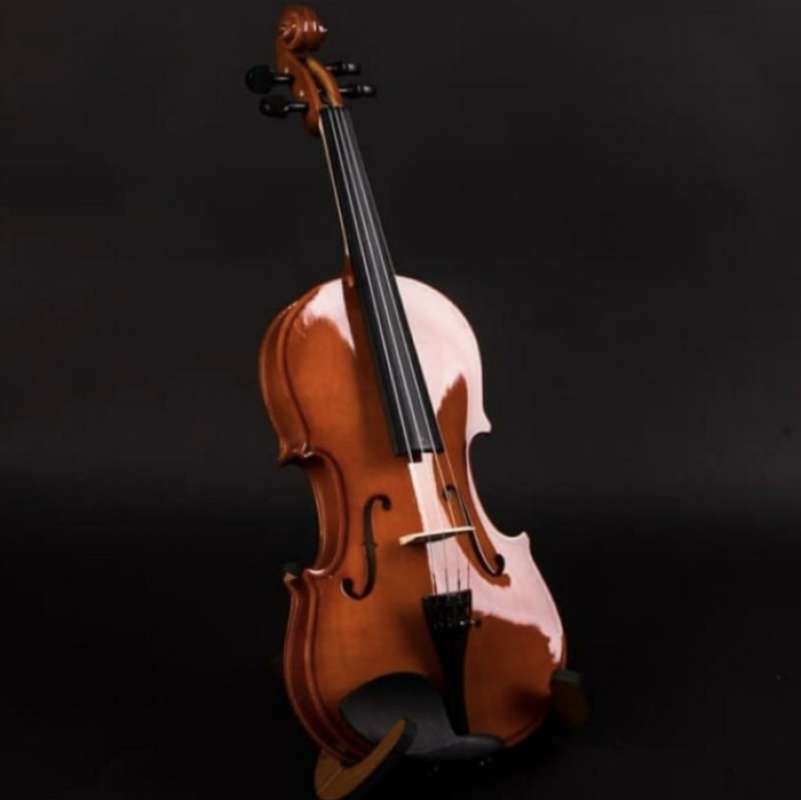 Promo Biola Violin 4/4 Cowboy Original Paket Lengkap Diskon 33% Di ...