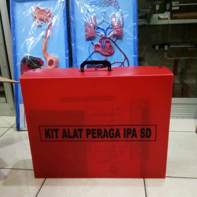 Promo Kit Ipa Sd, Alat Peraga Pendidikan Diskon 21% Di Seller Huka Shop ...