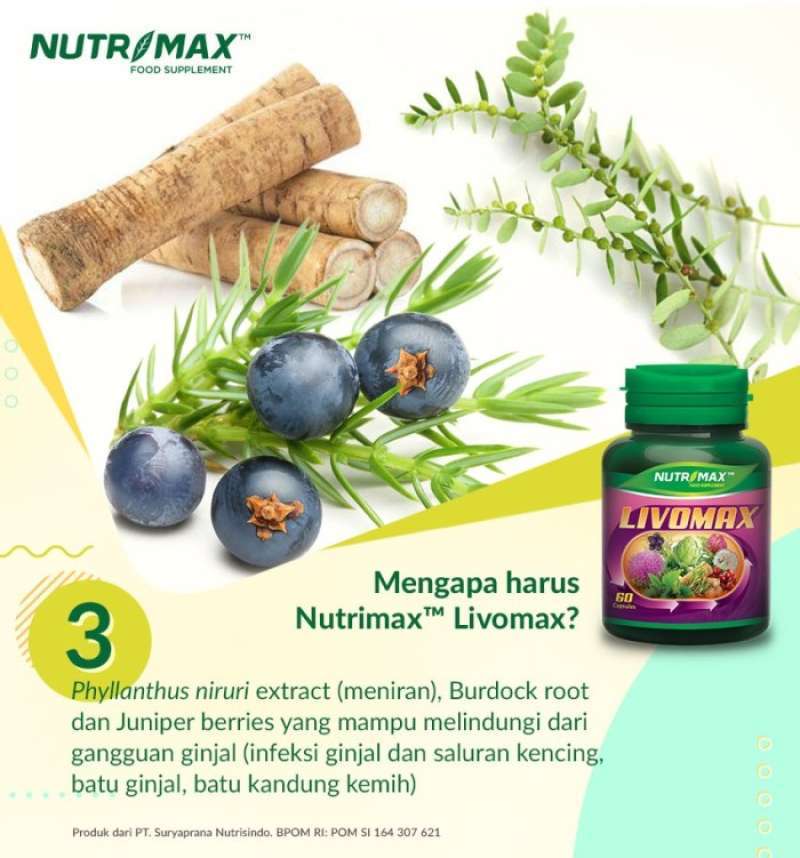 Promo Nutrimax Livomax 30 Capsul - Nutrisi Kesehatan Liver Dan Ginjal ...