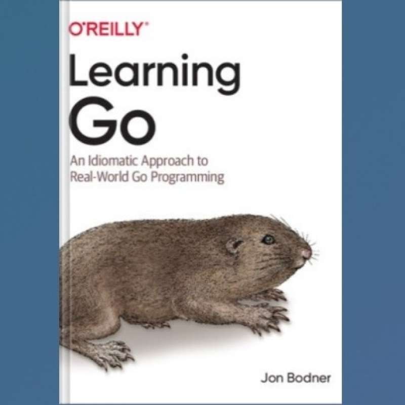 Jual Buku Learning Go An Idiomatic Approach To Real-world Go ...
