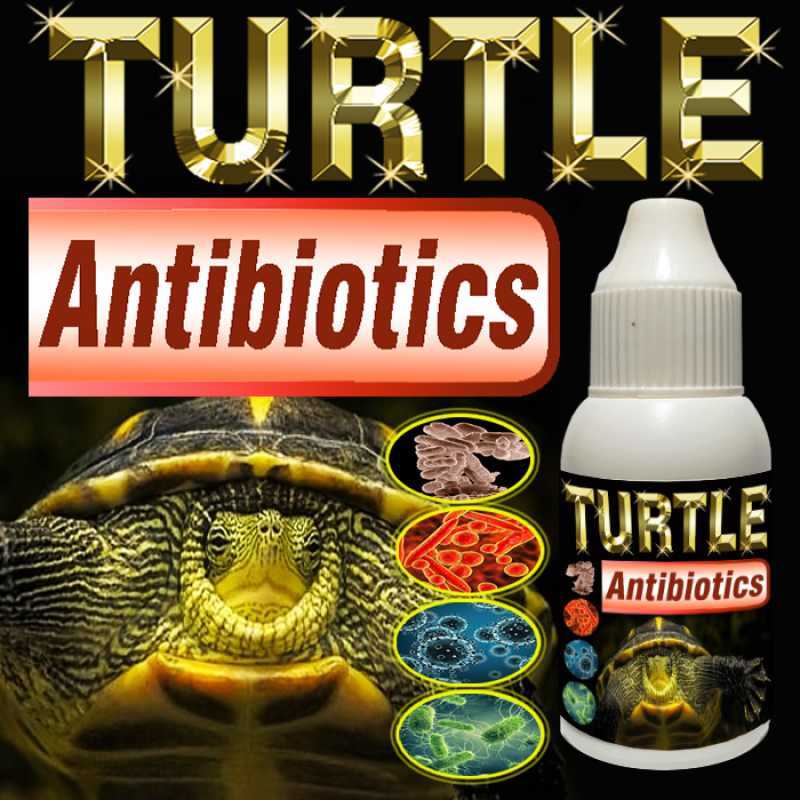 Promo Turtle Antibiotics Obat Pencernaan Dan Pernapasan Penyakit Diare ...