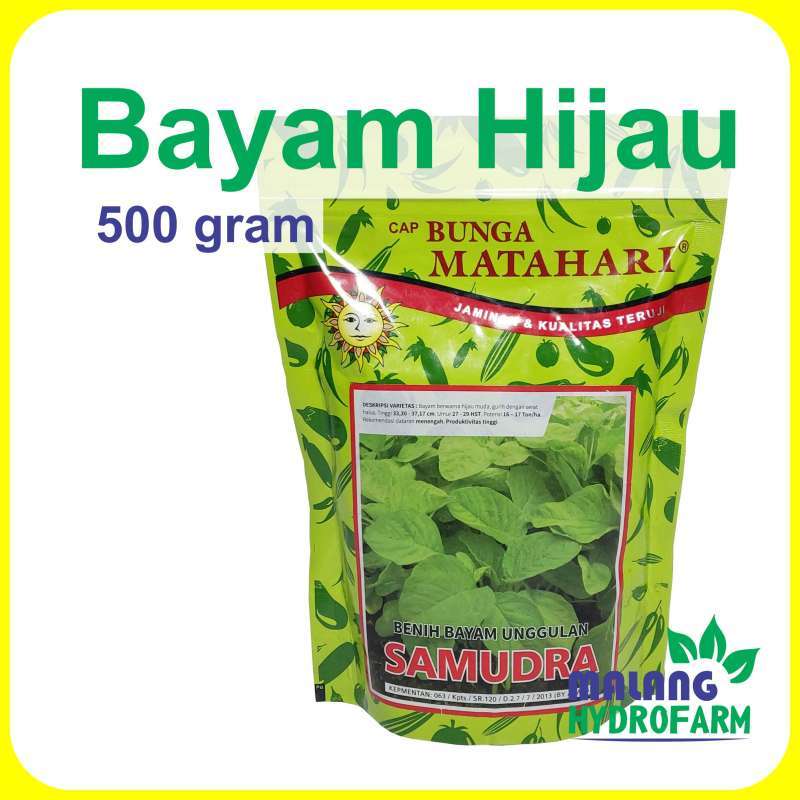 Jual Benih Bayam Hijau Samudra 500 Gram Cap Bunga Matahari Dataran ...