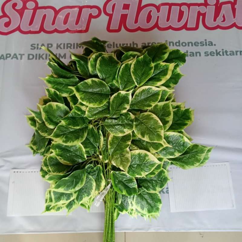 Promo Daun Potos Hijau List Putih / Daun Hias Dekorasi Artificial ...
