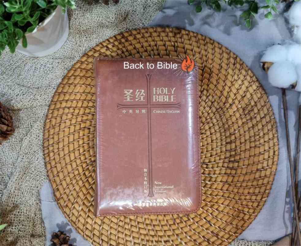 Promo Alkitab English Chinese/ Bilingual Bible Niv Cuv / Niv中英圣经 Diskon ...