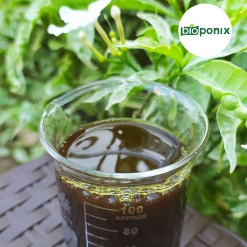 Promo Neem Oil Pestisida Organik / Minyak Mimba Insektisida 1 Liter ...
