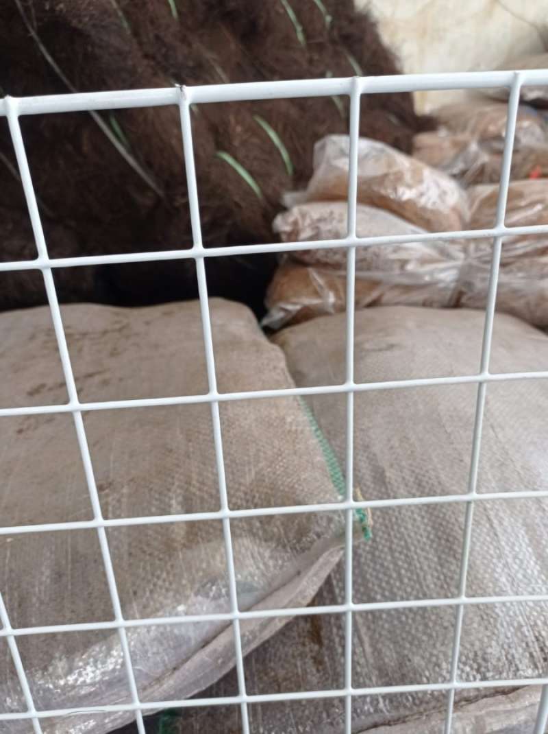 Jual Rang Kawat Ukuran M 1 Meter X 40 Cm Untuk Rambatan Tanaman Di ...