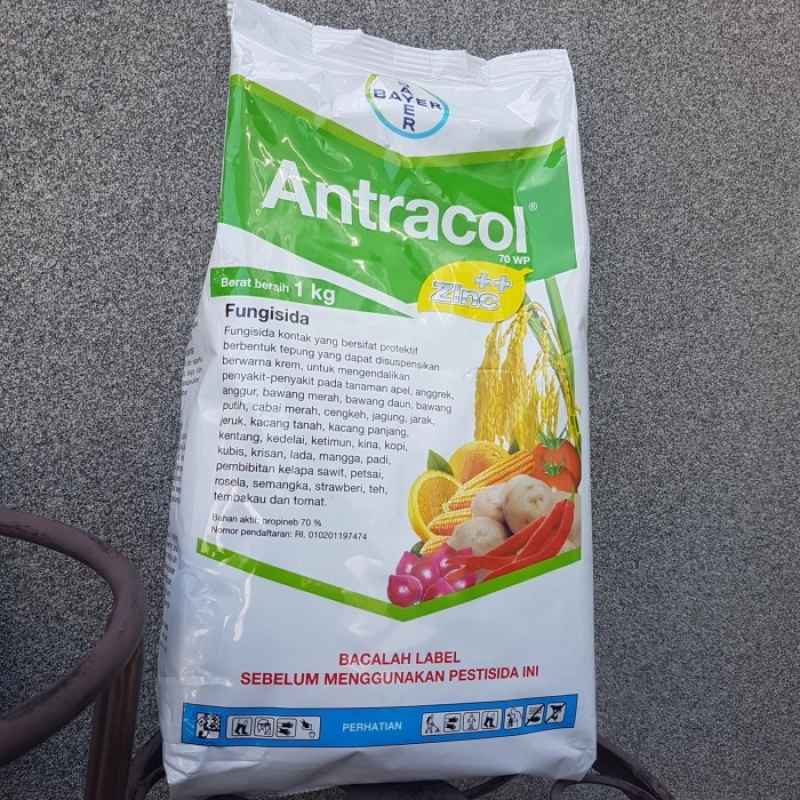 Jual Antracol 70 Wp 500 Gram Dan 1 Kg Obat Jamur Tanaman Di Seller ...