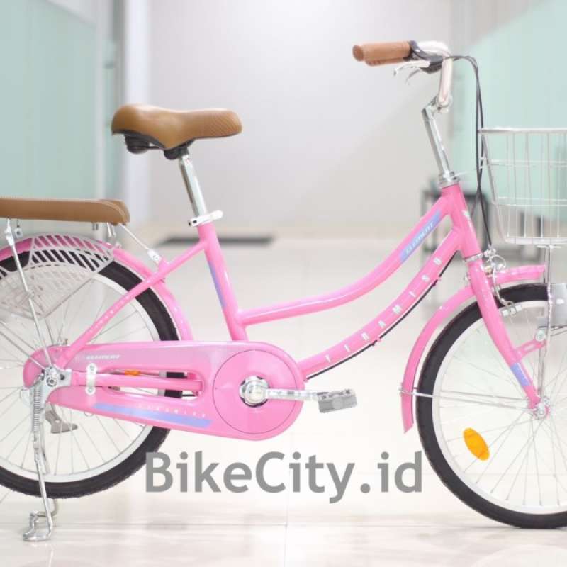 Promo Sepeda Mini Element Tiramisu 20 Inch 2022 New Diskon 33% Di ...
