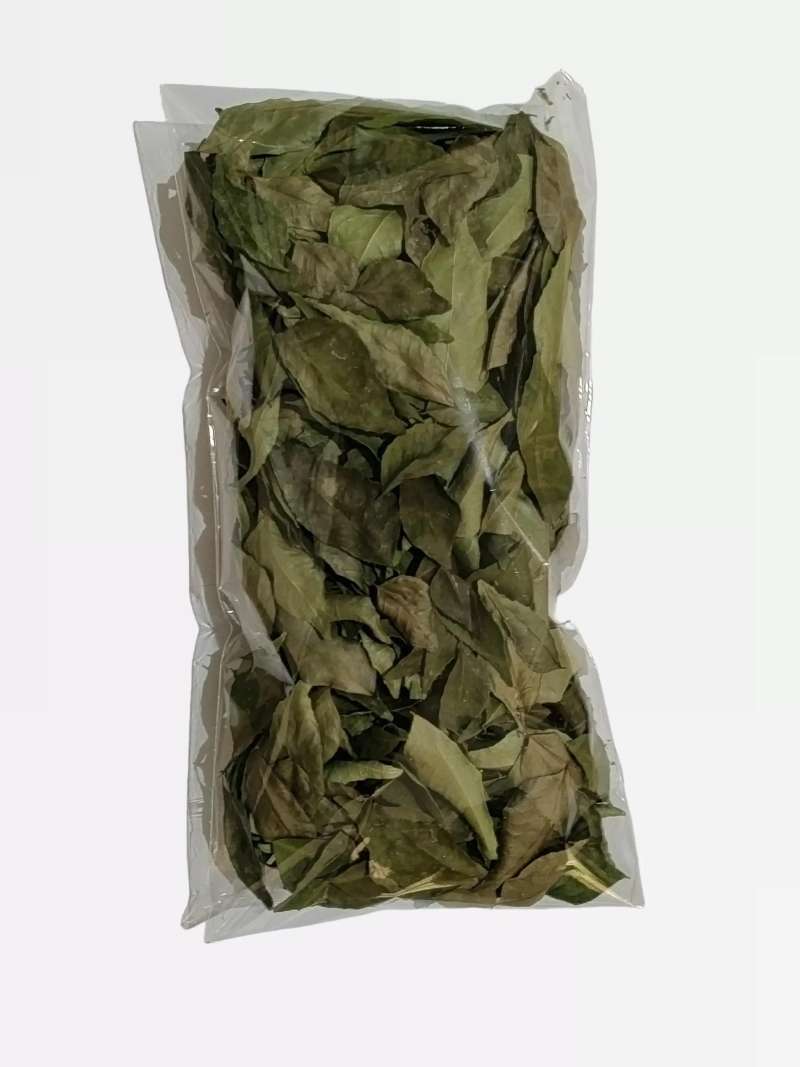 Jual Daun Kari Kering Alami 10gr Penyedap Masakan, Salam Koja/ Temurui ...