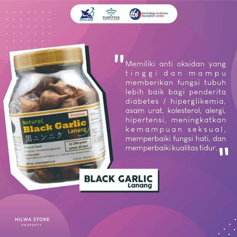 Jual Black Garlic Bppt Premium | Bawang Lanang - Bawang Putih Tunggal - Bawang Hitam Tunggal ...