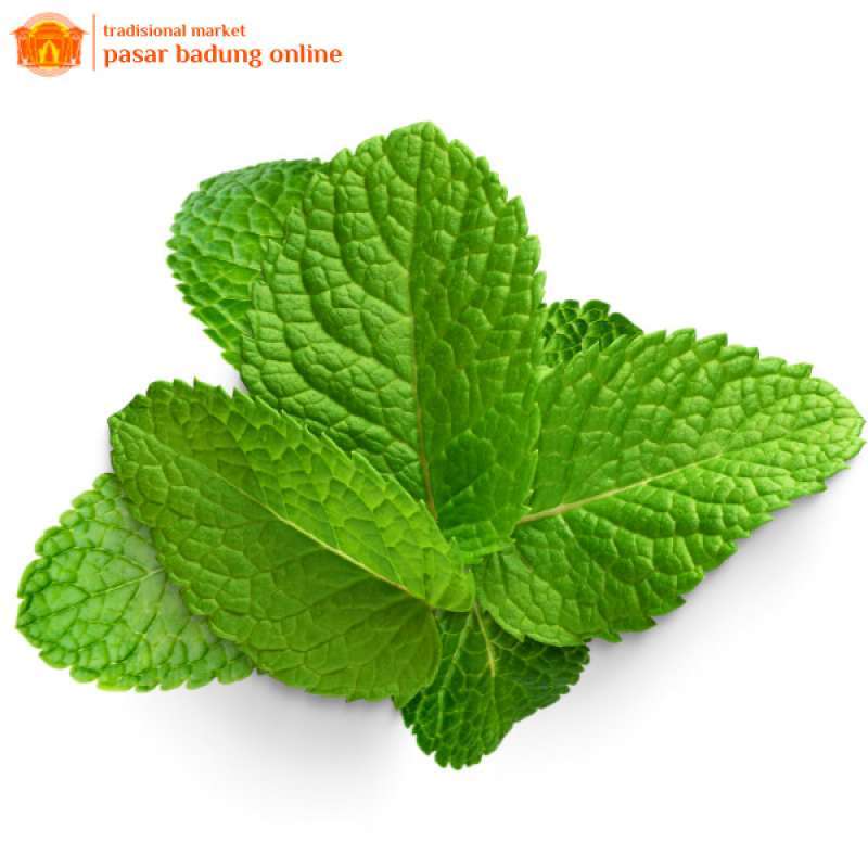Jual Daun Mint Segar Per 250 Gr Di Seller Pasar Badung - Dauh Puri ...