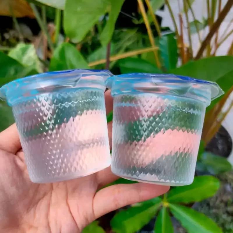 Jual Flow Air Mineral Cup Mini 150ml (1 Dus Isi 48 Cup) Di Seller Toko ...