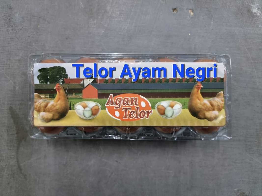 Jual Telur Ayam Negeri Fresh Terdekat 🏷️ Harga Grosir Murah Terupdate ...