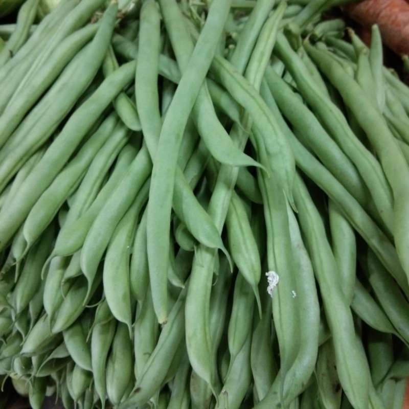 Promo HasilSumberalaM Sayur Segar Buncis / Green Beans 100 gr / 1 kg ...