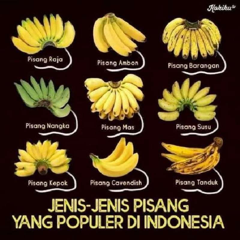 Jual Pisang Ambon : Kuning - Lumut / Raja : Bulu - Susu - Sereh - P ...
