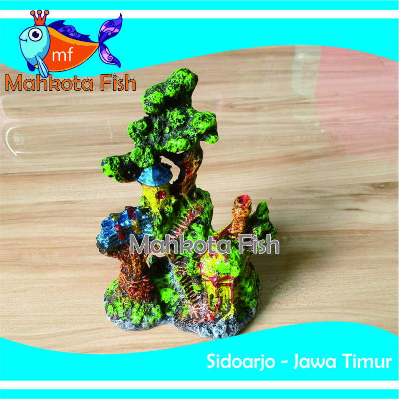 Jual Pohon Buat Aquarium Termurah - Harga Grosir Terupdate Hari Ini ...