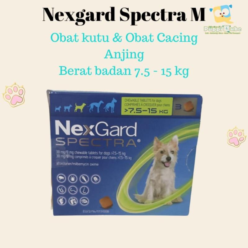 Jual Nexgard Spectra M Termurah - Harga Grosir Terupdate Hari Ini | Blibli